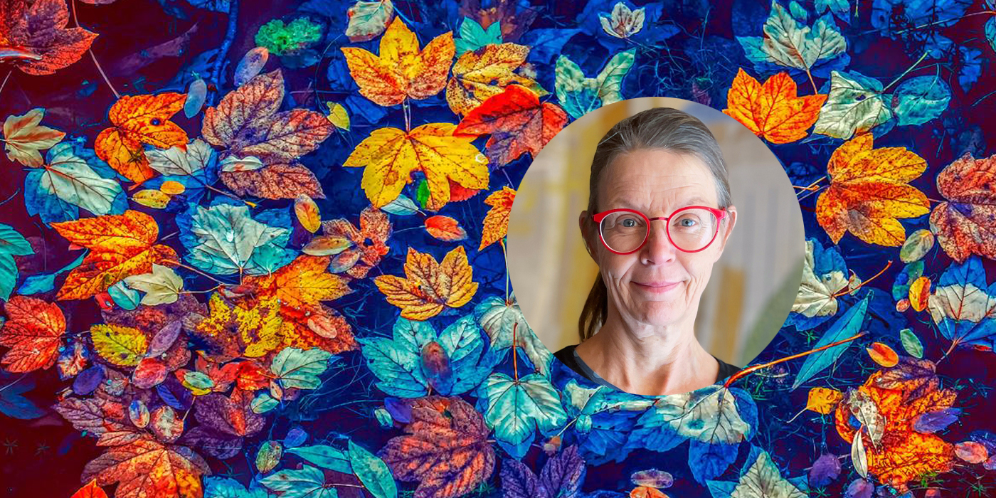 Hovdestalund – den moderna stadens spegel och en dörr till den tid som ...